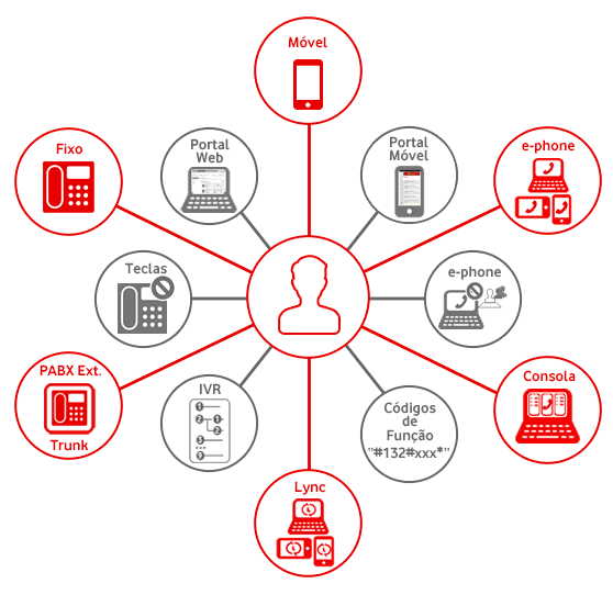 O utilizador One Net